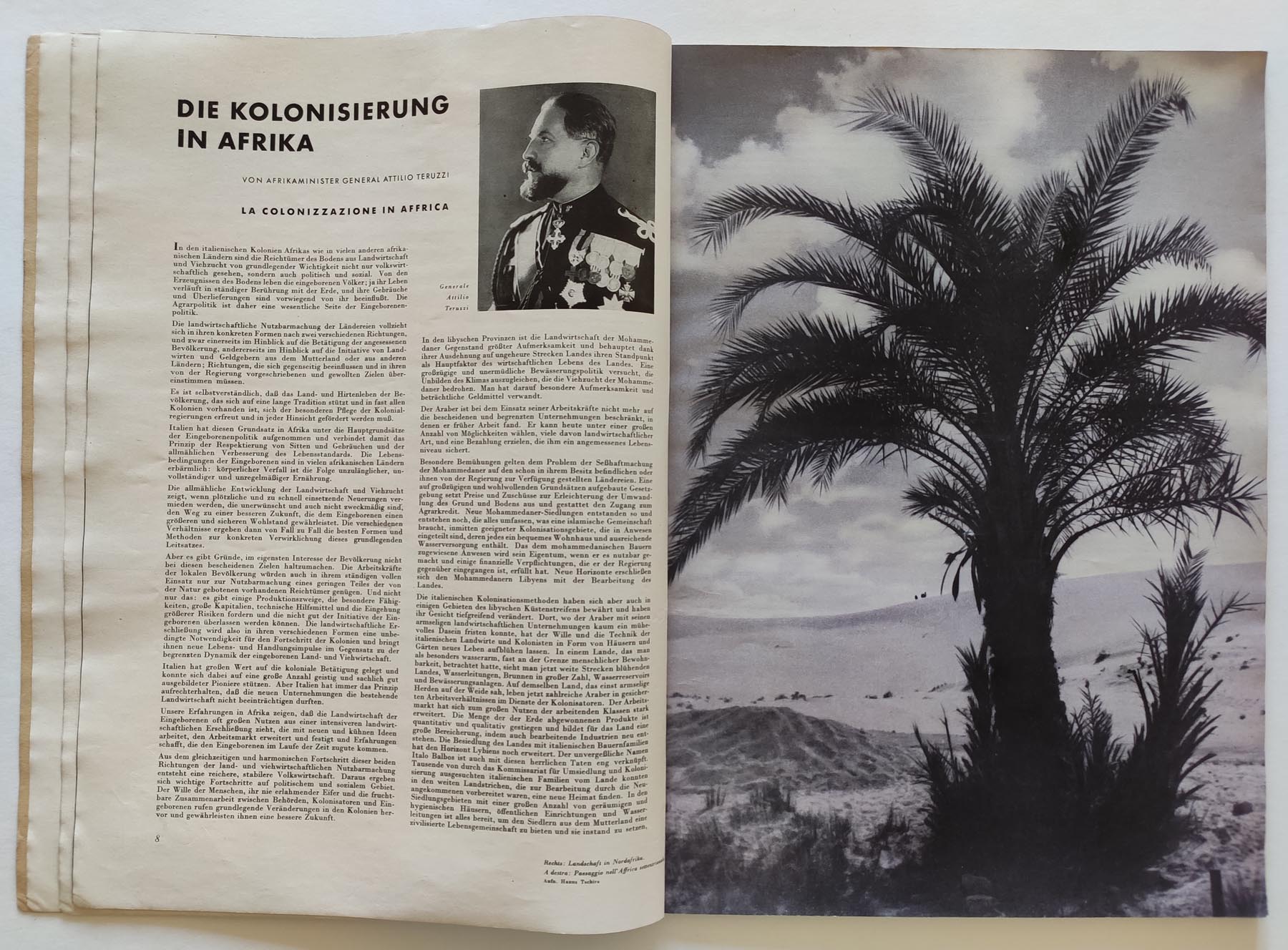 Revista mensual Berlin - Rom - Tokio, número 11, 15 de noviembre de 1940