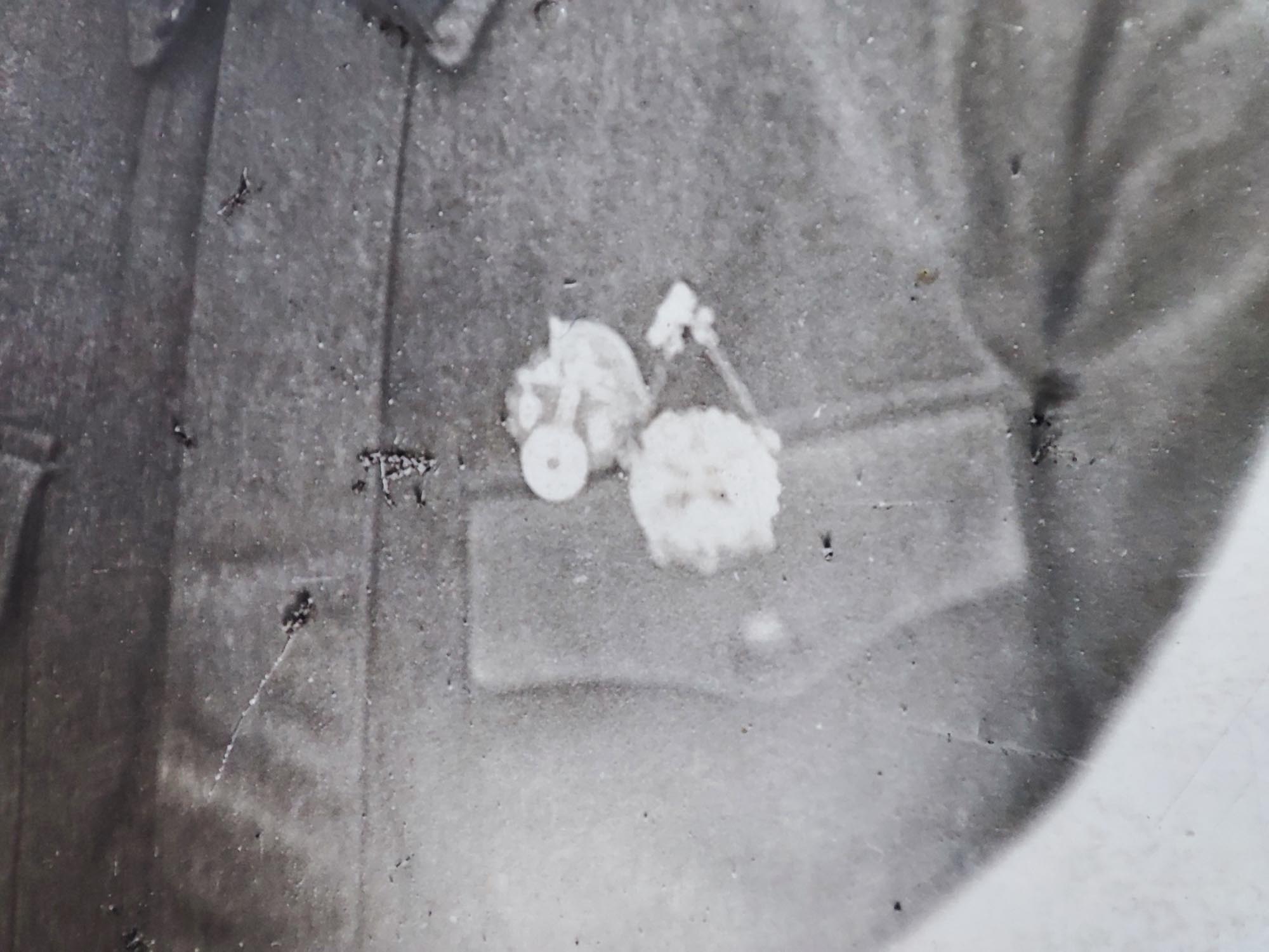 Red Army soldier with badges and Budyonovka hat