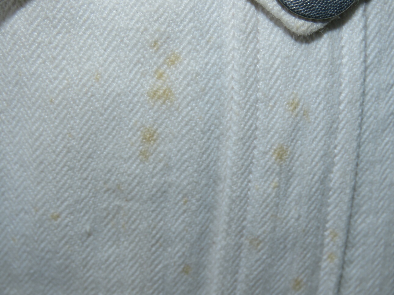 Wehrmacht Oberveterinär Veterinary Service Tunic in White Drill Cloth