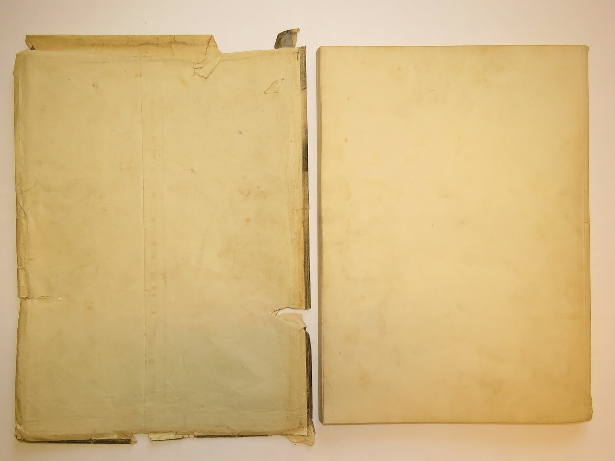 Illustrated book: The plane makes history. Special edition.