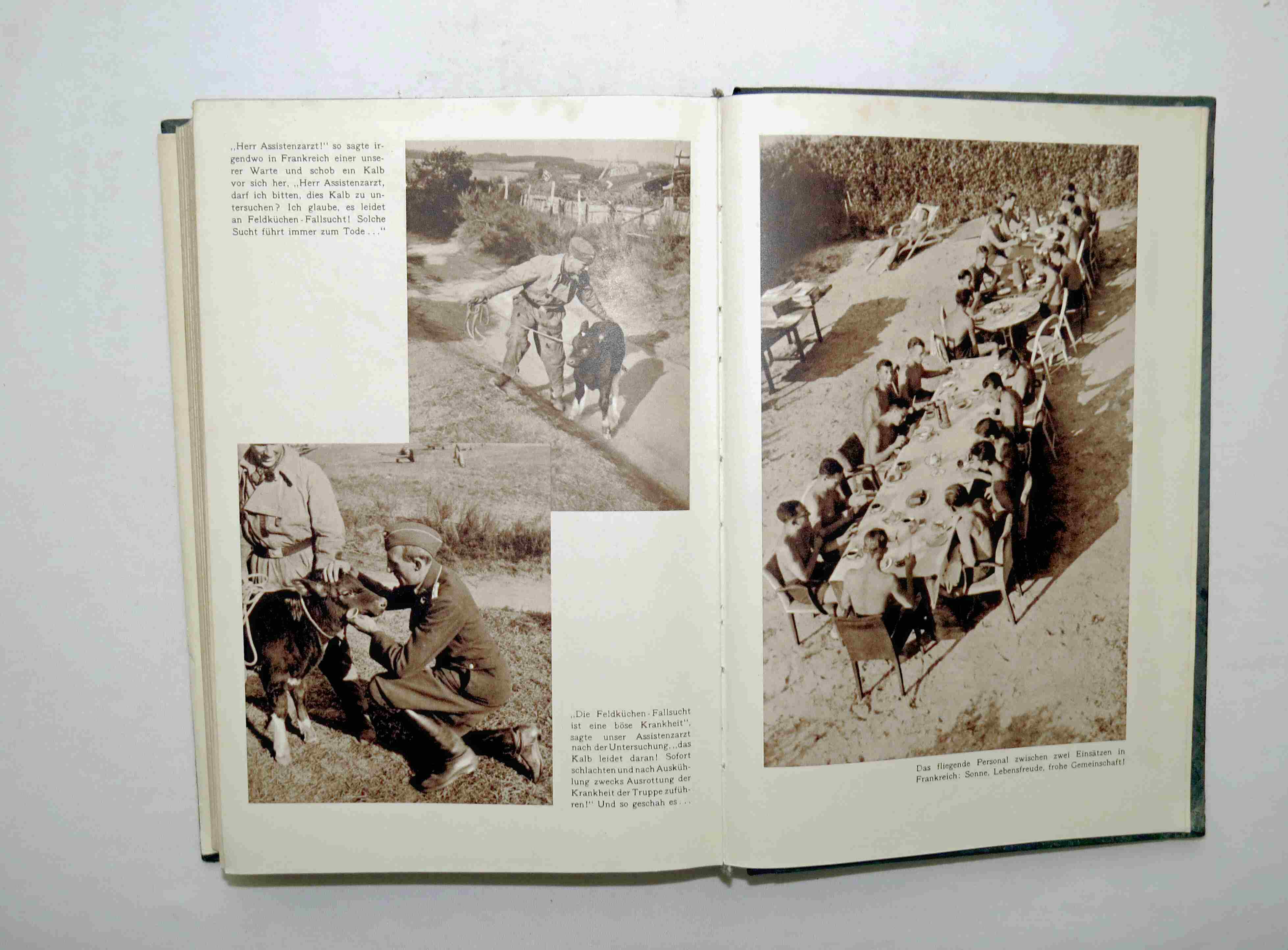 Stukas! Erlebnis eines Fliegerkorps